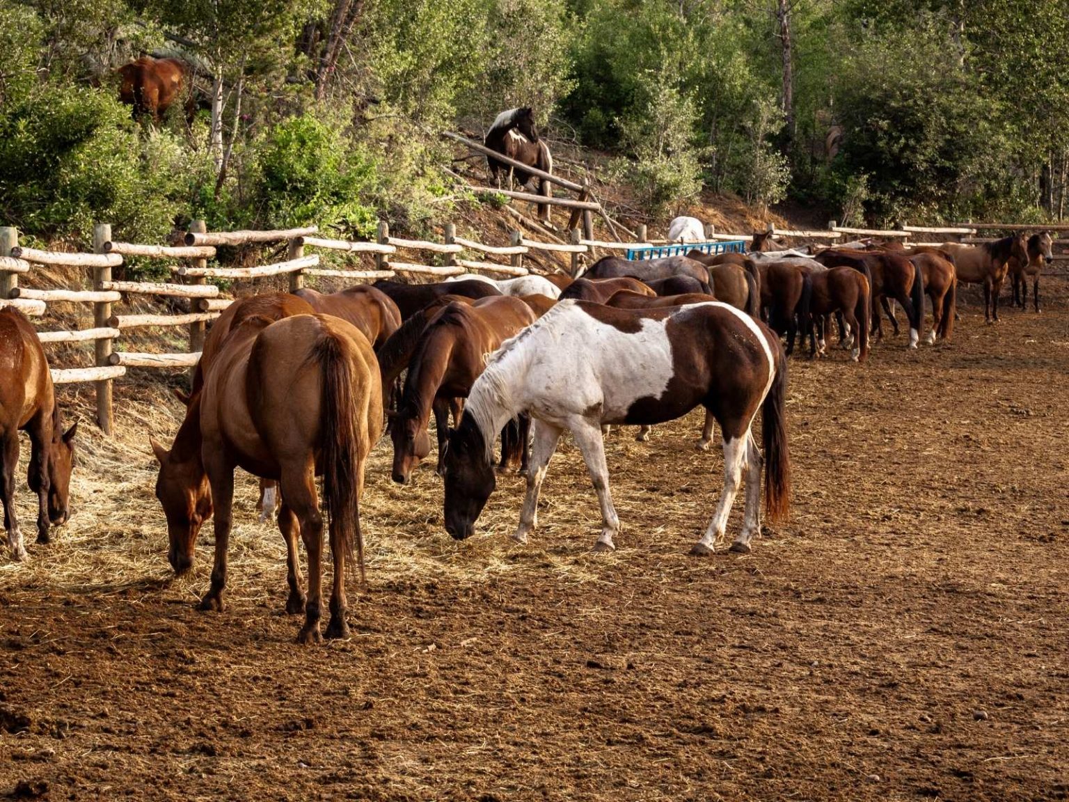 30 Charming Texas Small Towns - Totally Texas Travel