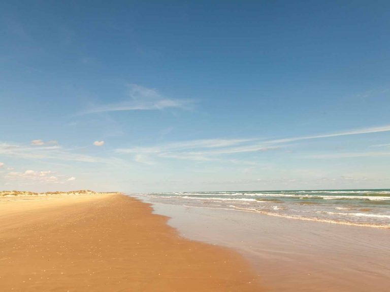 Top Texas Gulf Coast Beaches You Need to Visit - Totally Texas Travel