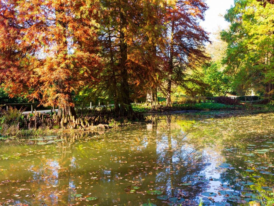 10 Awesome Lakes in Houston That Are Worth a Visit - Totally Texas Travel