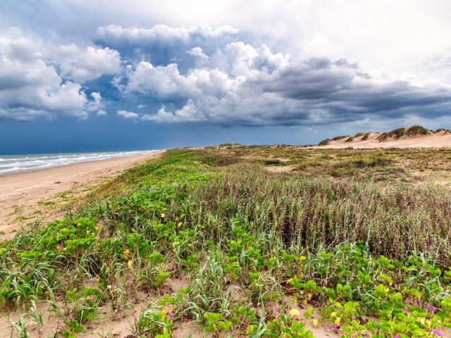 20 Fabulous Beaches in Texas - Totally Texas Travel