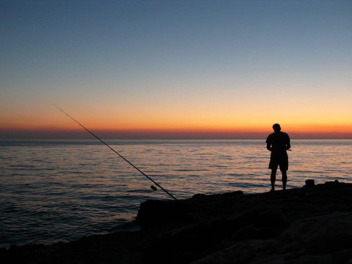 10 Awesome Lakes in Houston That Are Worth a Visit - Totally Texas Travel