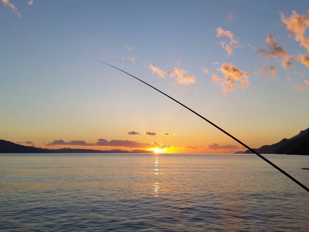 10 Awesome Lakes in Houston That Are Worth a Visit - Totally Texas Travel