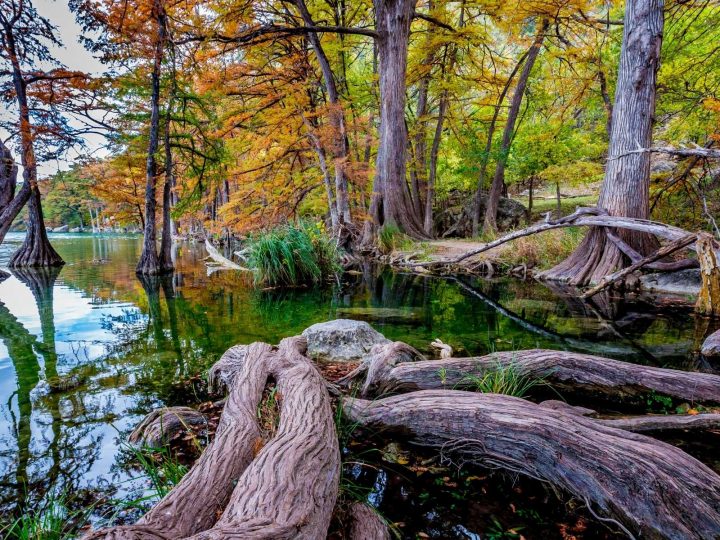 11 Amazing Places to Experience Fall in Texas - Totally Texas Travel