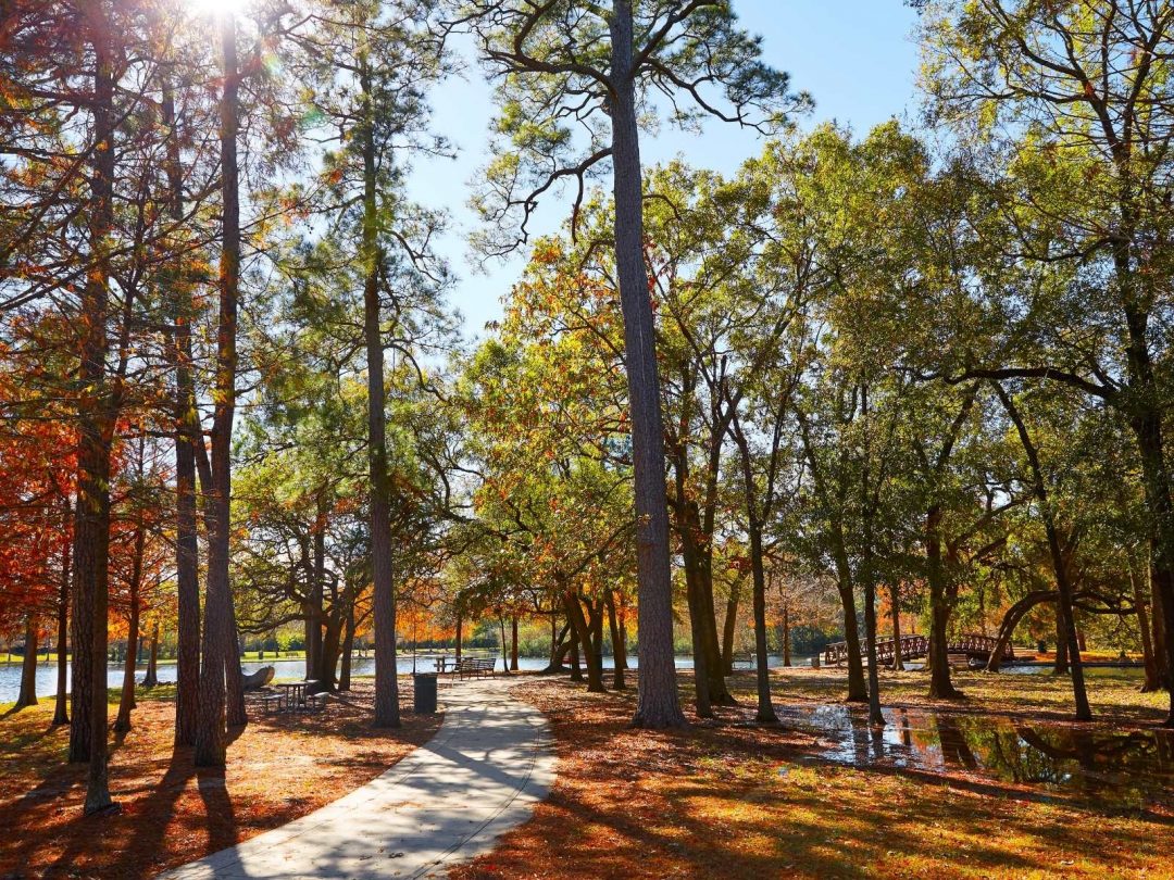 41 Free Things To Do In Houston - Totally Texas Travel