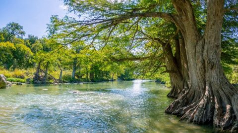 Tubing in Texas: Your Ultimate Guide to Float the River in Texas ...