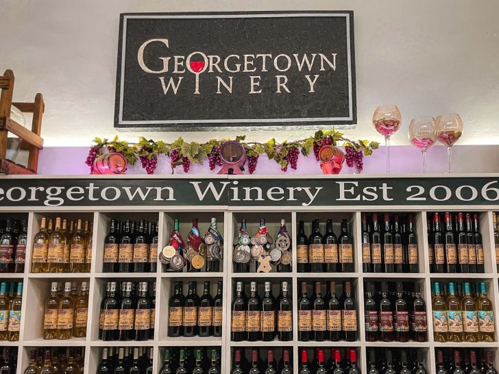 16 Fun Things to do in Georgetown, TX - Totally Texas Travel