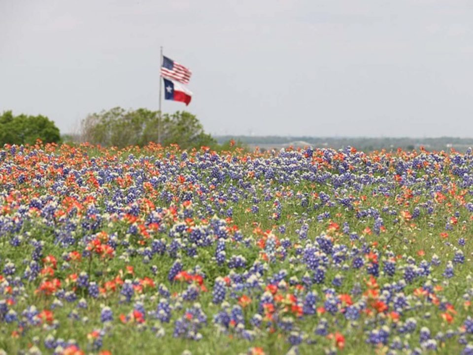 12 Awesome Places to See Bluebonnets In Texas (+ FAQ!) - Totally Texas ...