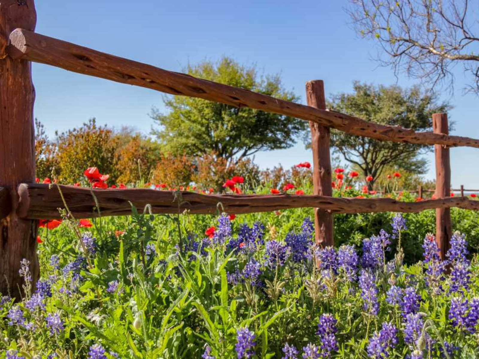 Hidden Gems in Texas: 10 Underrated Towns You Need to Visit - Totally ...