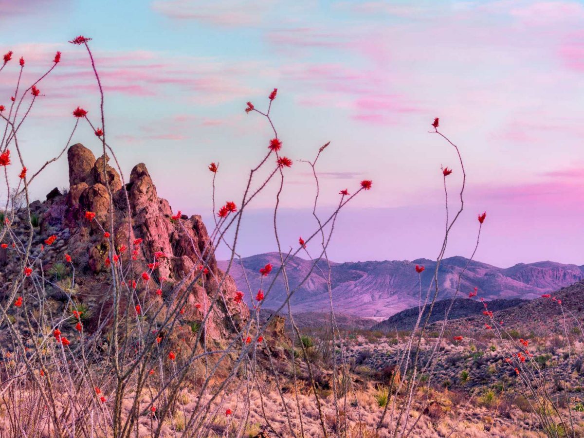 12 Unique Things to Do in Terlingua, Texas (Terlingua Ghost Town ...