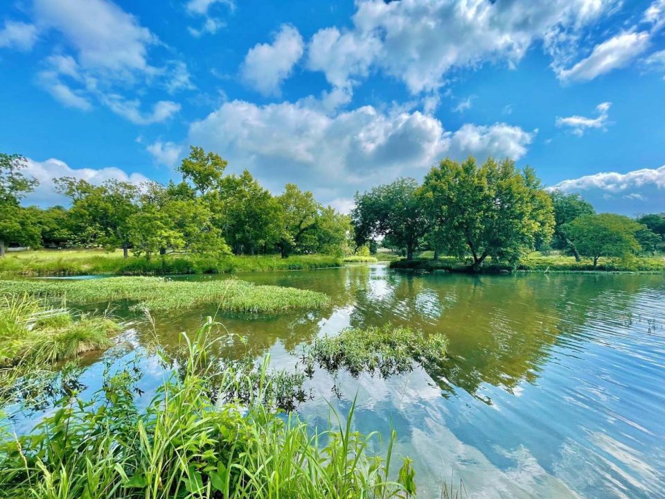 16 Unique Things to Do in Wimberley, Texas - Totally Texas Travel