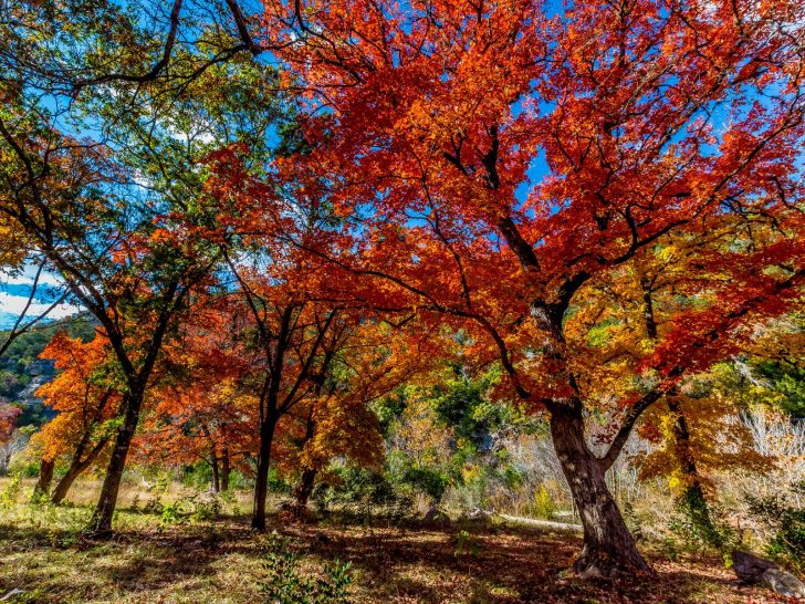 11 Amazing Places to Experience Fall in Texas - Totally Texas Travel