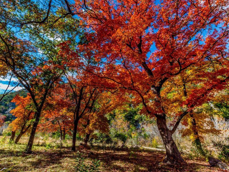 11 Amazing Places to Experience Fall in Texas - Totally Texas Travel