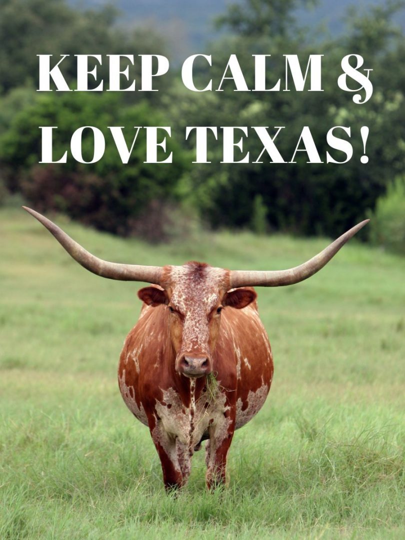65 Awesome Texas Quotes and Texas Captions - Totally Texas Travel