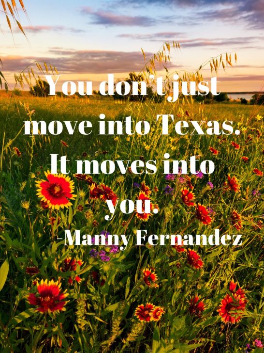 65 Awesome Texas Quotes and Texas Captions - Totally Texas Travel
